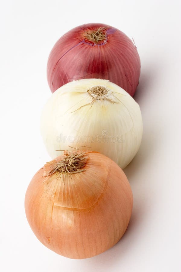 Onions arranged in rows stock photo. Image of objects - 1364528