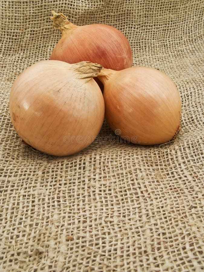 Three Onions on Violet Background Stock Photo - Image of green ...