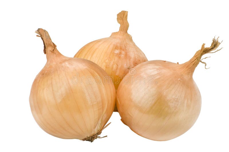 Three onions stock photo. Image of isolated, healthy, objects - 9269876