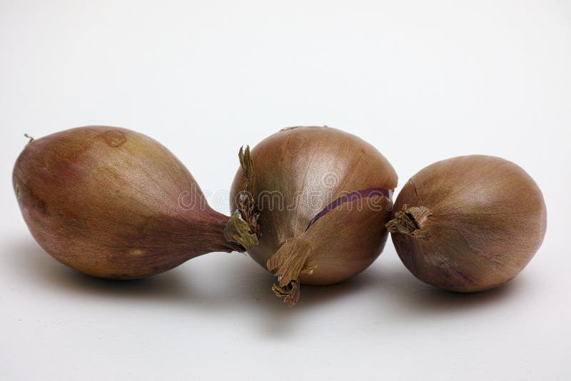 Three onions. stock image. Image of bulb, plant, background - 65551383