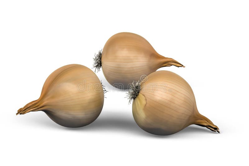 Three Onions Isolated on White Background - 3d Stock Illustration ...