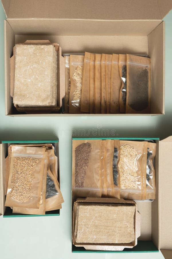 Three Open Boxes. Kits for Growing Sprouts from Seeds Stock Image ...