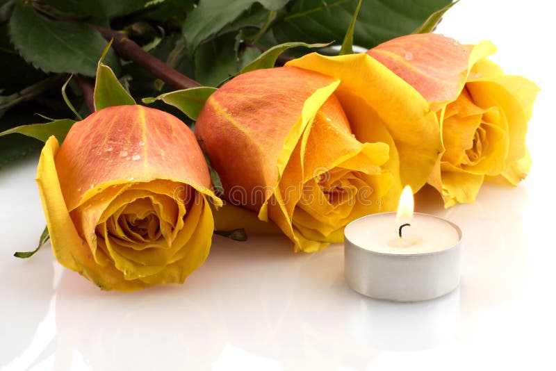 Three Orange Roses And A Burning Candle Picture. Image: 5322442
