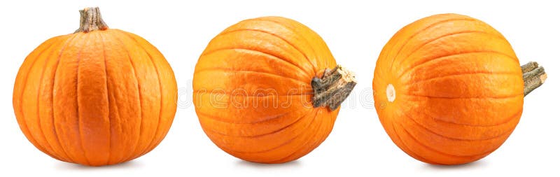 Orange Round Pumpkin and Pumpkin Slice Isolated on White Background ...