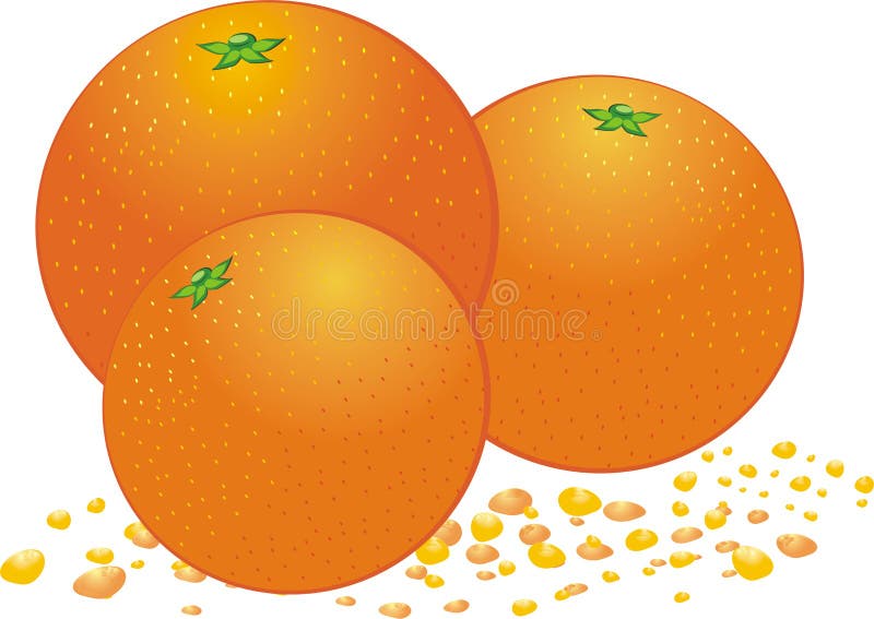 Three Oranges Stock Illustrations – 242 Three Oranges Stock ...