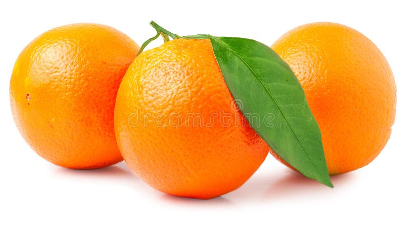Three Oranges on a White Background Stock Photo - Image of color ...