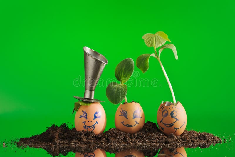Three Organic Seedling Plants in Funny Easter Eggs, Smiling Faces with ...