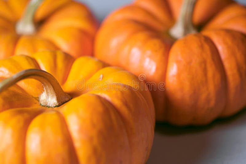Three Ornamental Pumpkins stock image. Image of shadow - 7590823