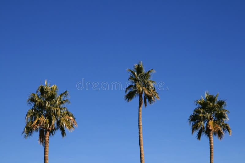 McAllen, Texas stock photo. Image of texas, mcallen - 111028872