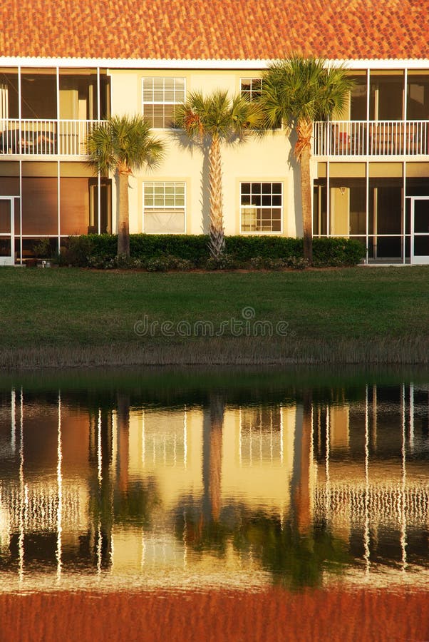 Three Palms stock photo. Image of sunset, pond, architecture - 14075656