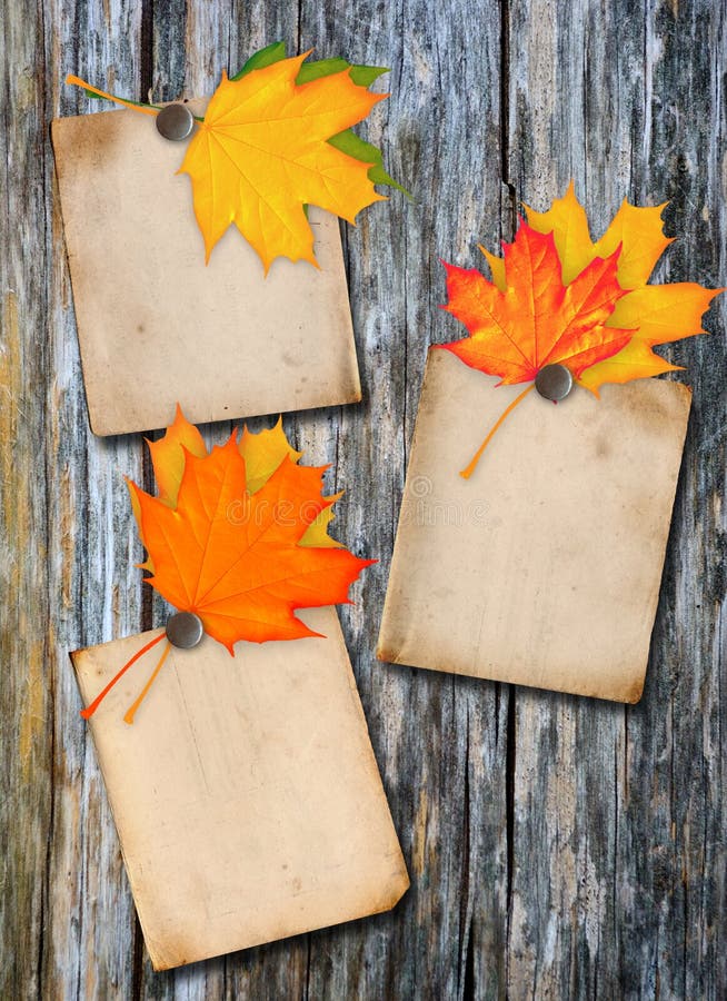 Three Paper Sheets Isolated Stock Photo - Image of color, colorful ...