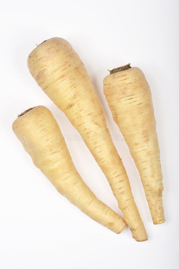 Three parsnips stock photo. Image of healthy, closeup - 379045218