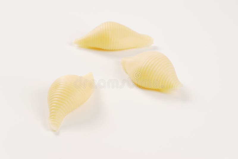 Three pasta shells stock photo. Image of food, studio - 67338508
