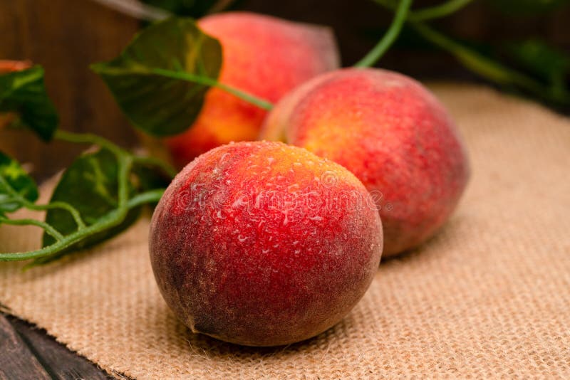 Fresh Delicious Peaches on the Table Stock Image - Image of nature ...
