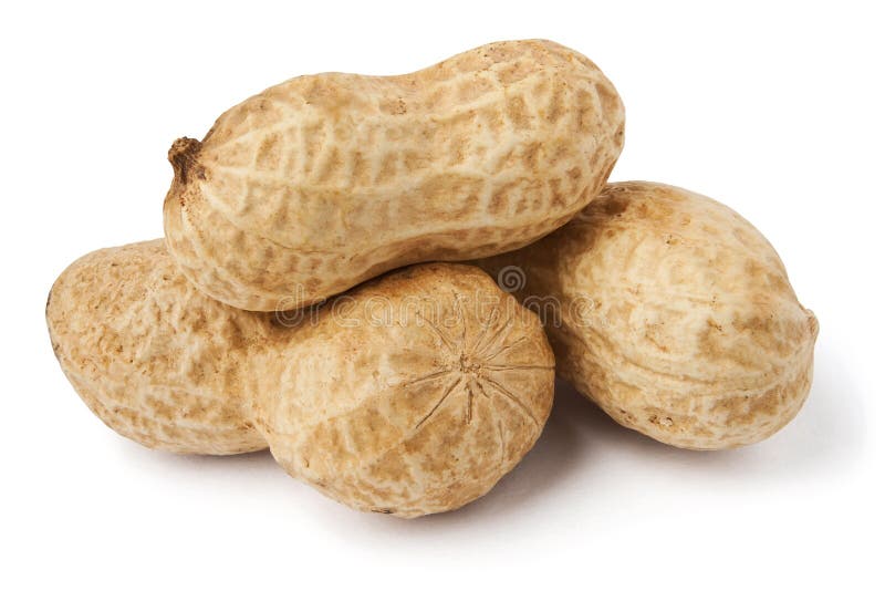 Three Peanuts in There on White Stock Photo - Image of nitrogenfixing ...