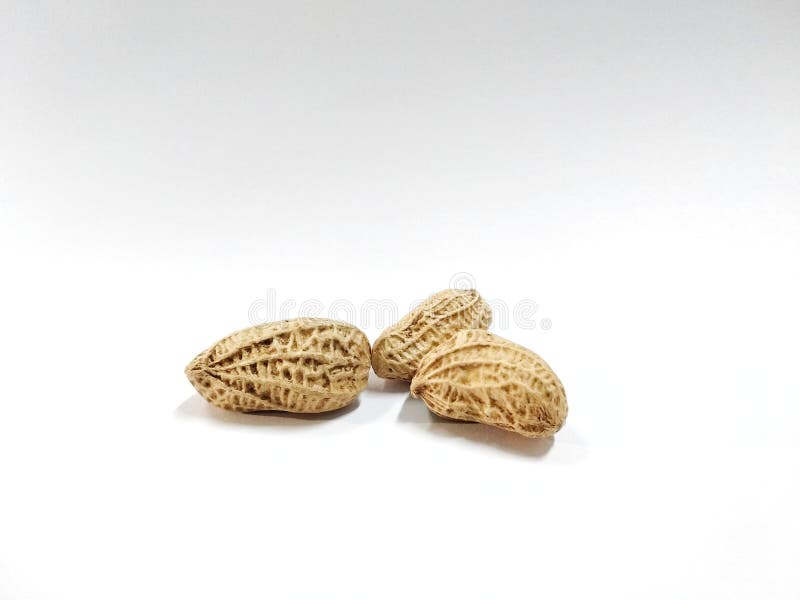 Three Peanuts in There on White Stock Photo - Image of nitrogenfixing ...
