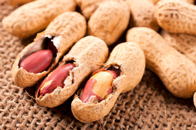 Three peanuts stock photo. Image of dried, macro, full - 32997102