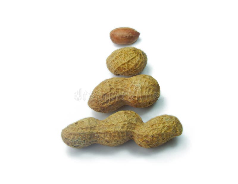 Three Peanuts in There on White Stock Photo - Image of perenum, root ...