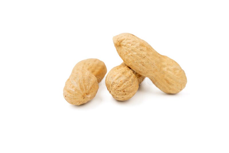Three Peanuts are Sitting on a White Background Stock Image - Image of ...