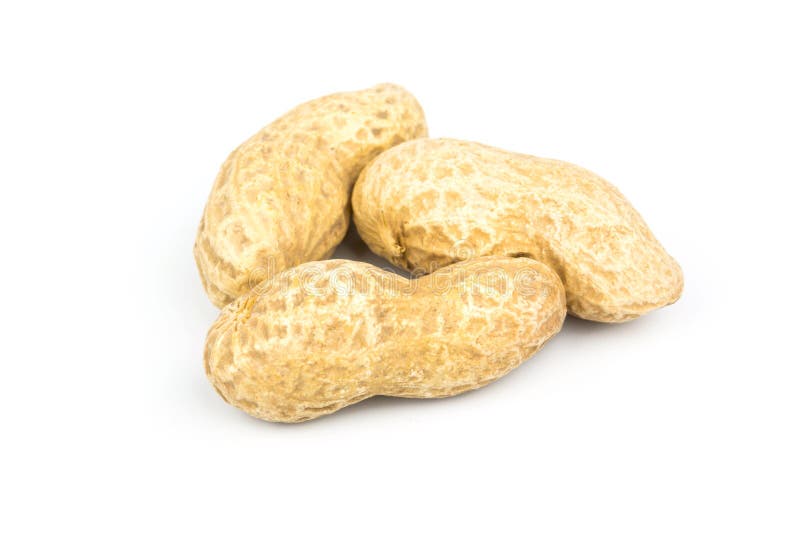 Three peanuts in shell stock image. Image of delicious - 104864709