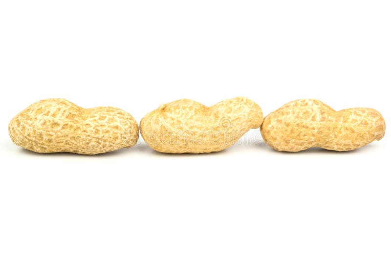 Three peanuts in shell stock image. Image of delicious - 104864709