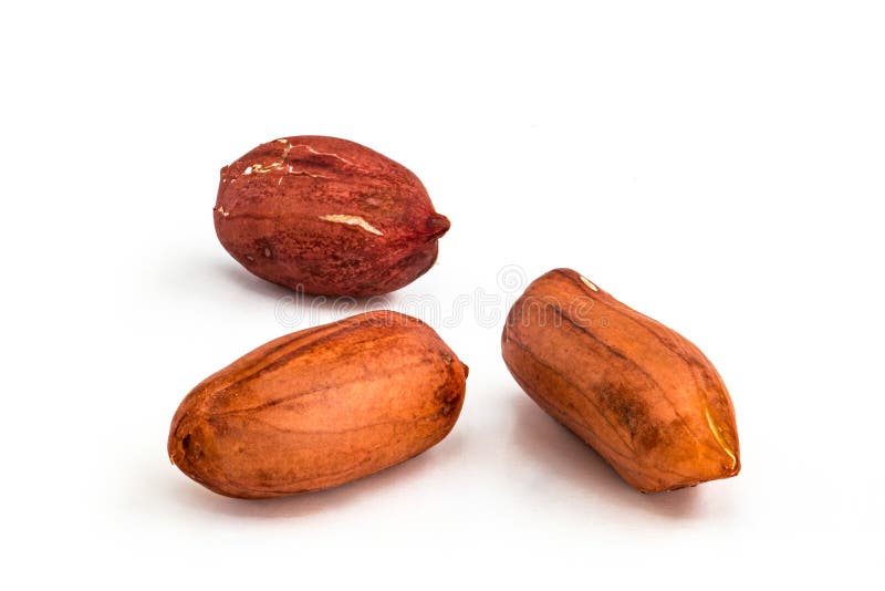 Three Peanuts in There on White Stock Photo - Image of perenum, root ...
