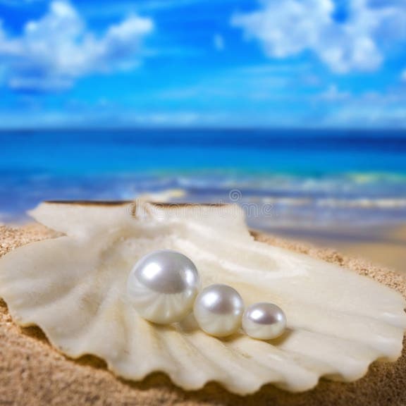 Three pearls in shell stock image. Image of beach, ground - 10005213