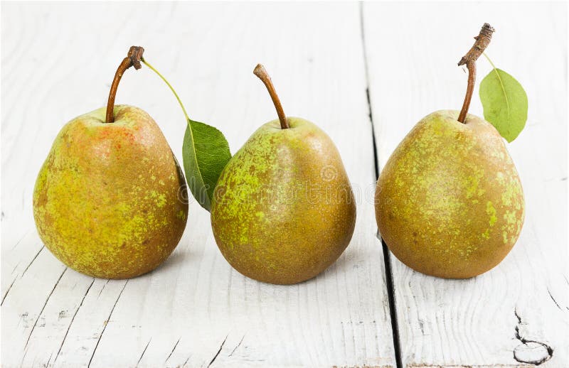 Ripe Pears on a Tree Outdoors, Close-up. Stock Image - Image of leaf ...