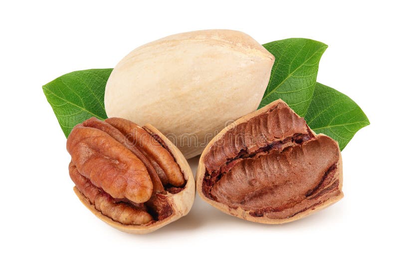 Three Pecan Nuts Isolated on White Background Stock Image - Image of ...