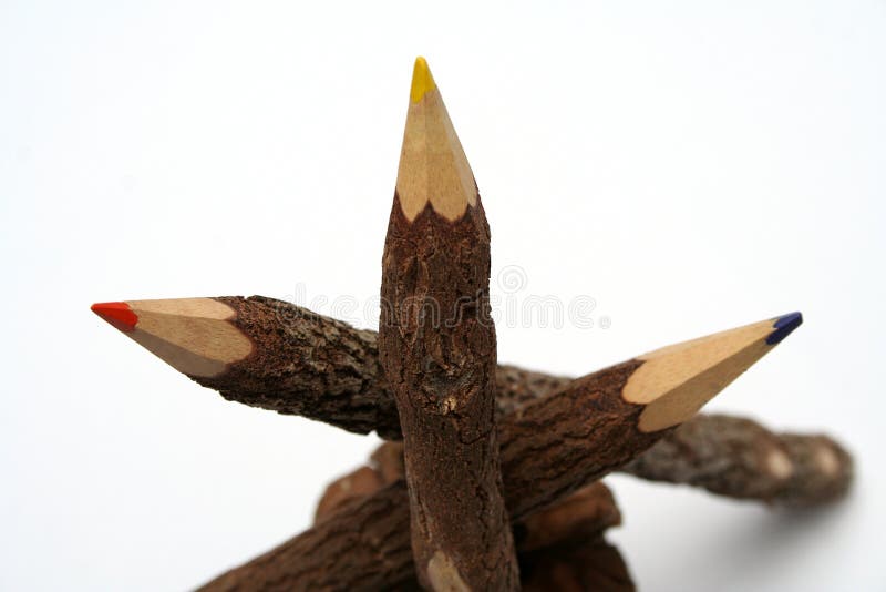 Three Color Pencils Made of a Natural Tree and Pine Cone Stock Image ...