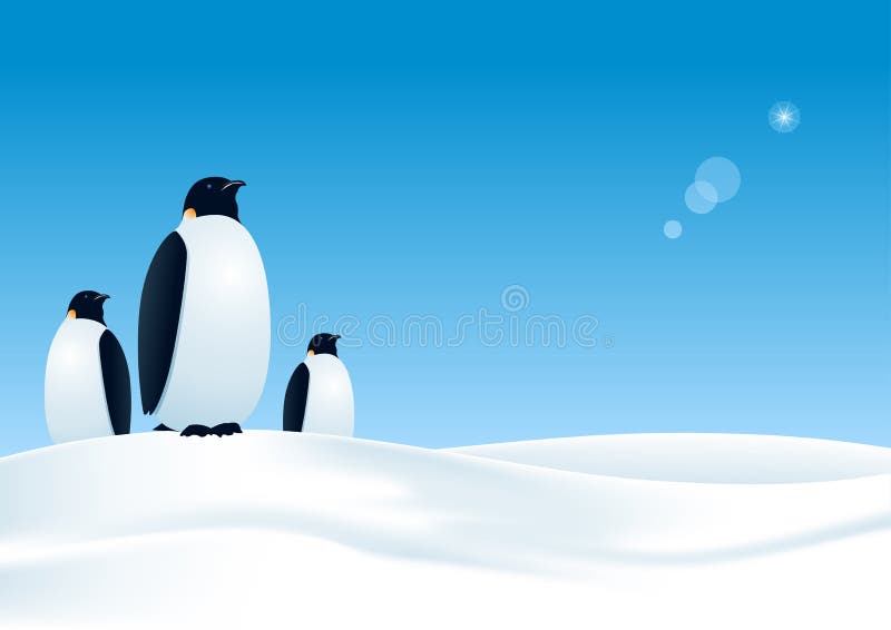 Three penguins stock vector. Illustration of animal, arctic - 17153092