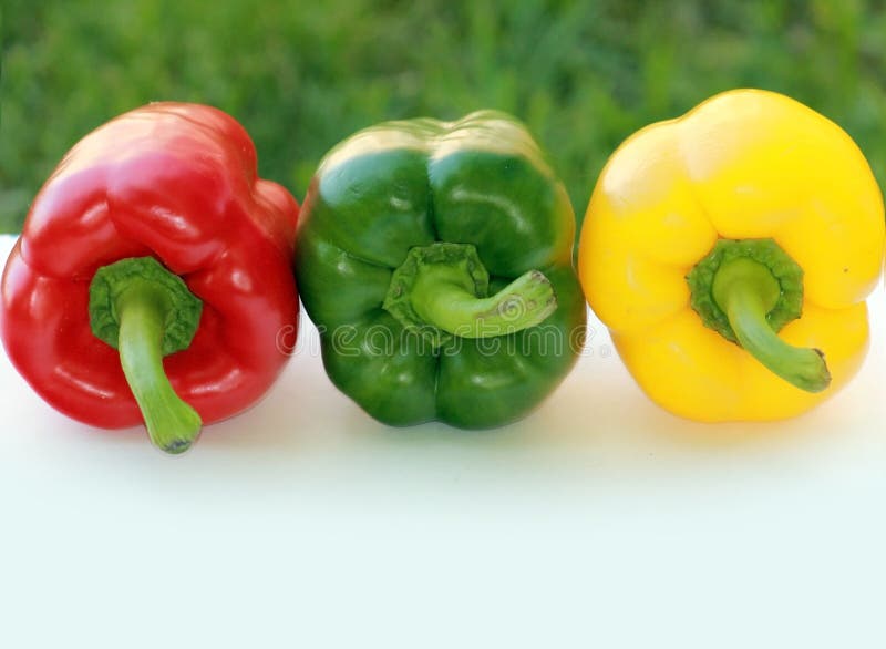 Three Hot Peppers on a Plate Stock Photo - Image of cultivation ...