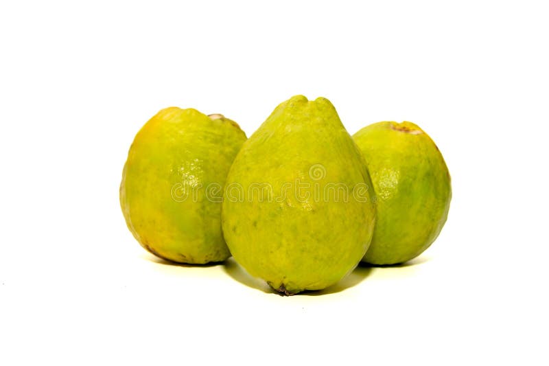 Perfect Guavas Isolated on a White Background Stock Photo - Image of ...