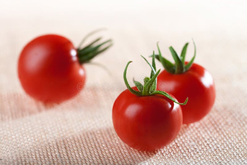 Three Perfect Tomatoes on Hessian Backdrop Stock Image - Image of ...