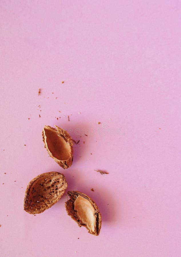 Almond Shells Heaped and Dried in Soft Light Stock Image - Image of ...