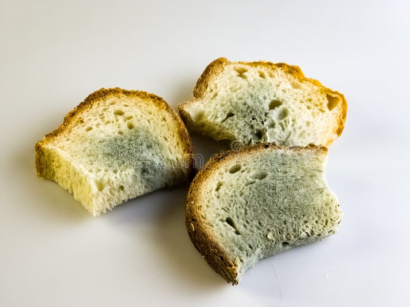 Three Pieces of Stale Bread with Mold. the Surface of Moldy Bread ...