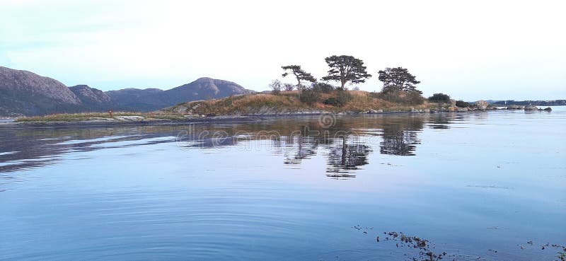 Three pine Island stock photo. Image of island, soul - 159765614