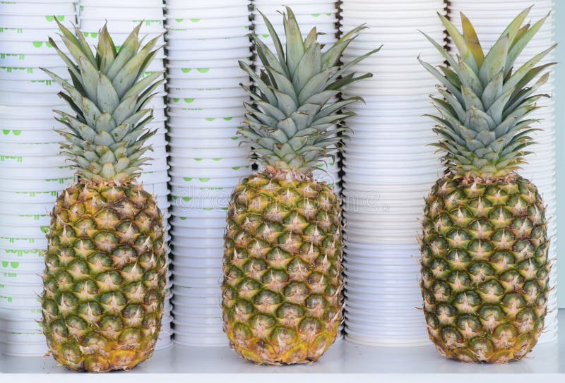 Three Pineapple, Very Cool Presented Stock Photo - Image of three, wall ...