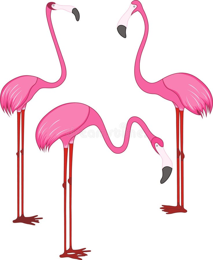 Cartoon Pink Flamingo Running Stock Vector - Illustration of vector ...