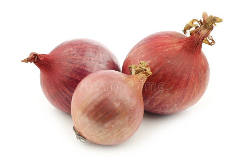 Pink onions stock photo. Image of flavoring, vegetarian - 109502542