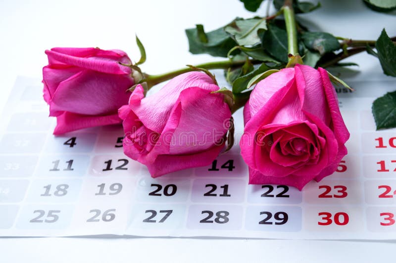 Roses and calendar stock photo. Image of greeting, cube - 112485048