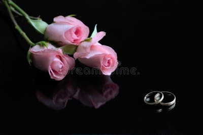 Three Pink Roses and Wedding Rings Reflected in Black Surface Stock ...
