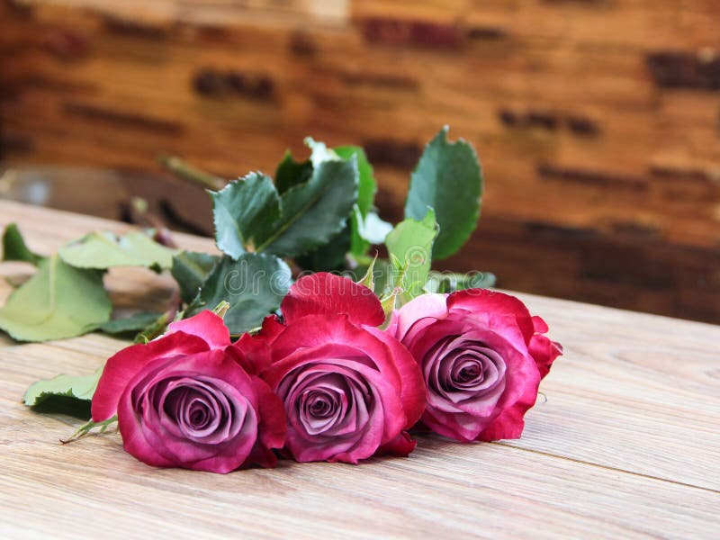 Three Pink Roses on a Wooden Background Stock Photo - Image of blurred ...