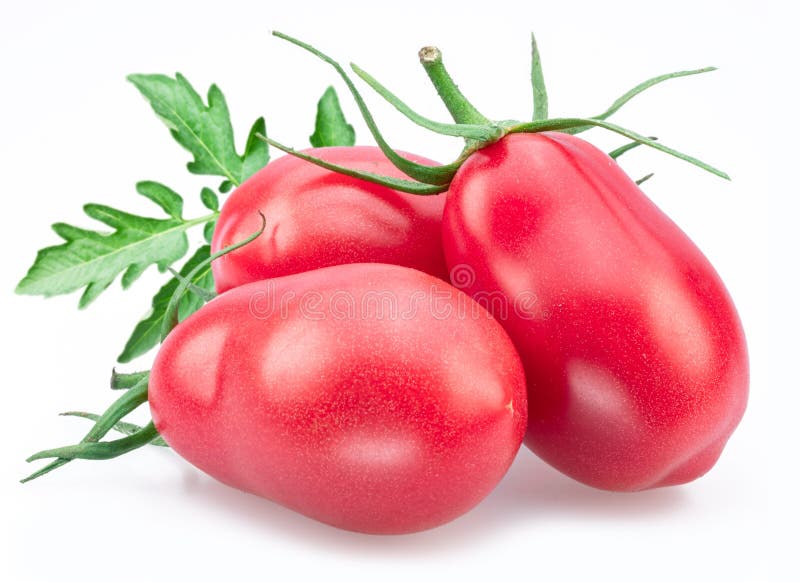 Three Pink Tomatoes Plums with Tomato Leaves Isolated on White ...