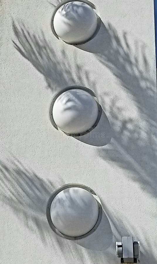 Three Plam Trees Casting a Shadow on a Building Stock Image - Image of ...