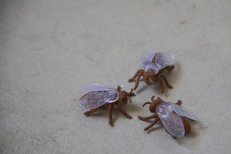 Three Plastic Toy Flies on the Floor Stock Photo - Image of beetle ...