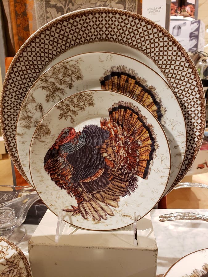 Turkey plates on display stock photo. Image of dinner - 233837290