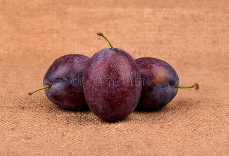 Three plums stock image. Image of foods, objects, organic - 61449593