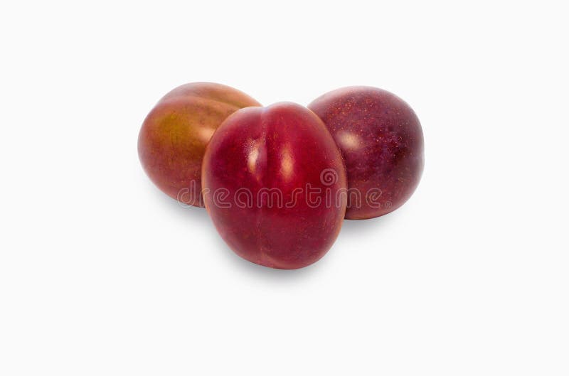 Three plums stock image. Image of purple, objects, healthy - 57532623