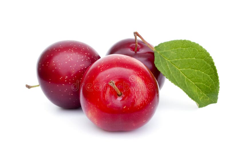 Three plums with leaf stock photo. Image of green, freshness - 15327122
